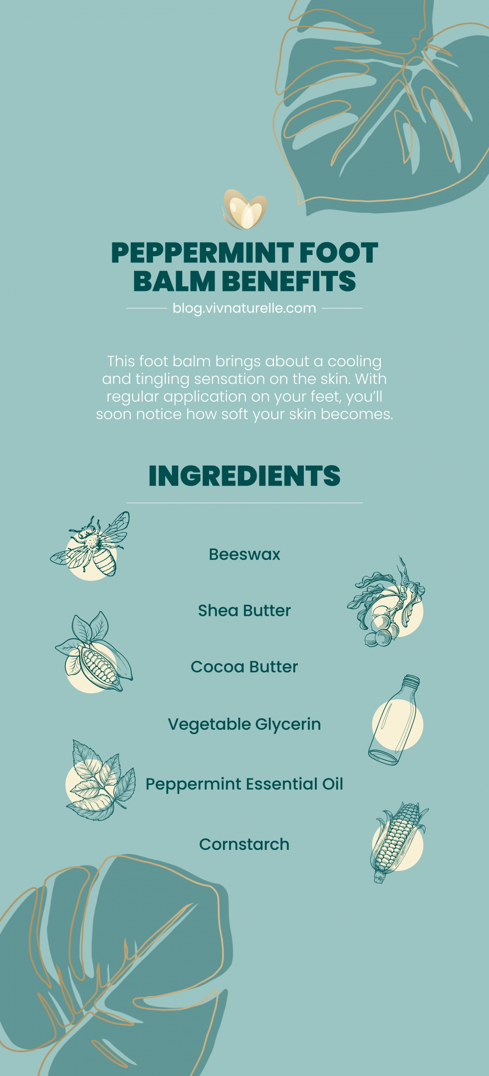 Peppermint Foot Balm Recipe - Vivnaturelle