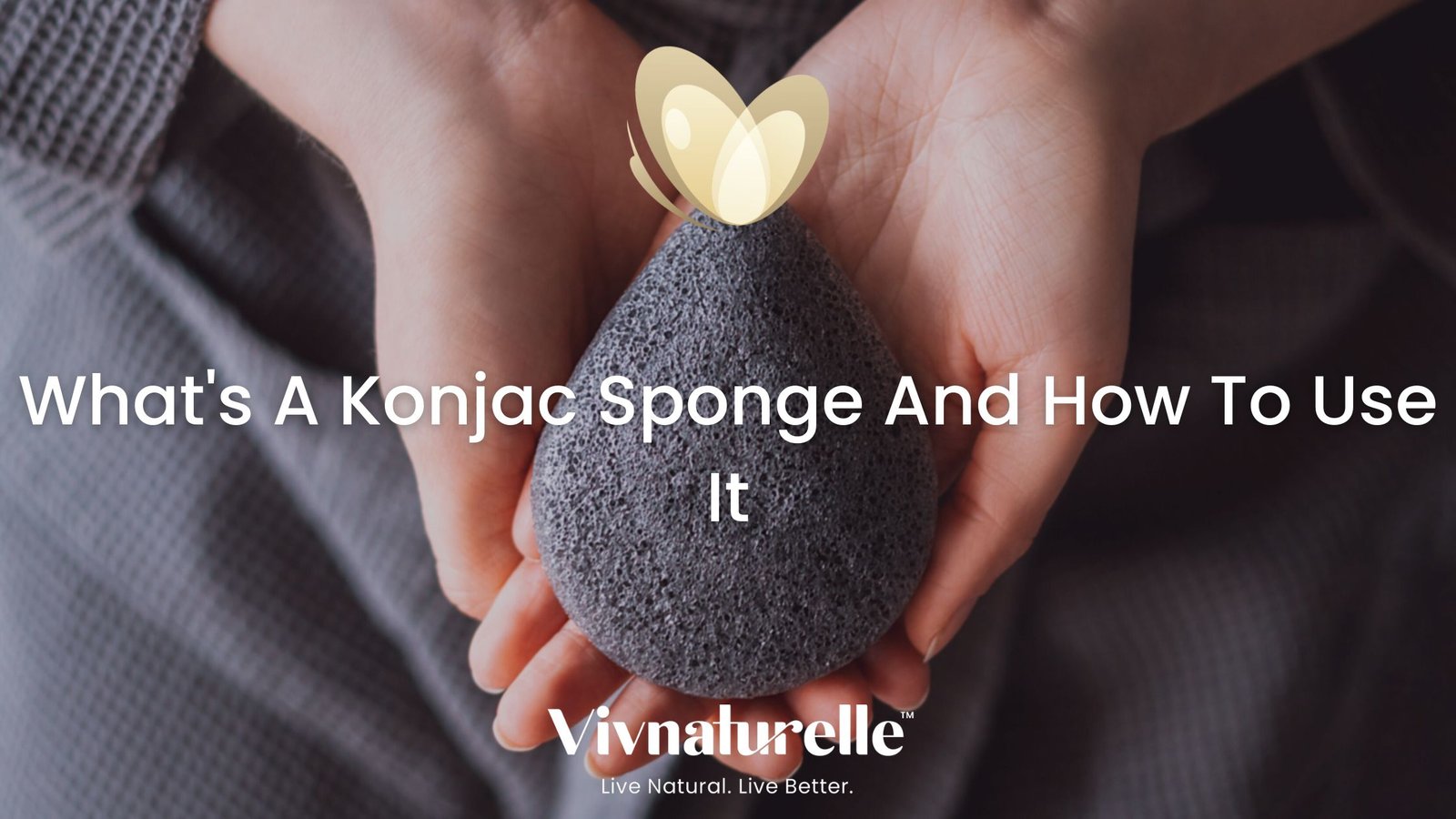 What's a Konjac Sponge and How To Use It? - Vivnaturelle